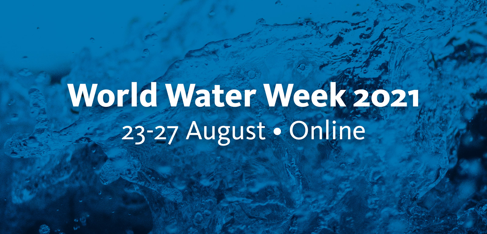 World Water Week 2021 – Valuing the invaluable resource